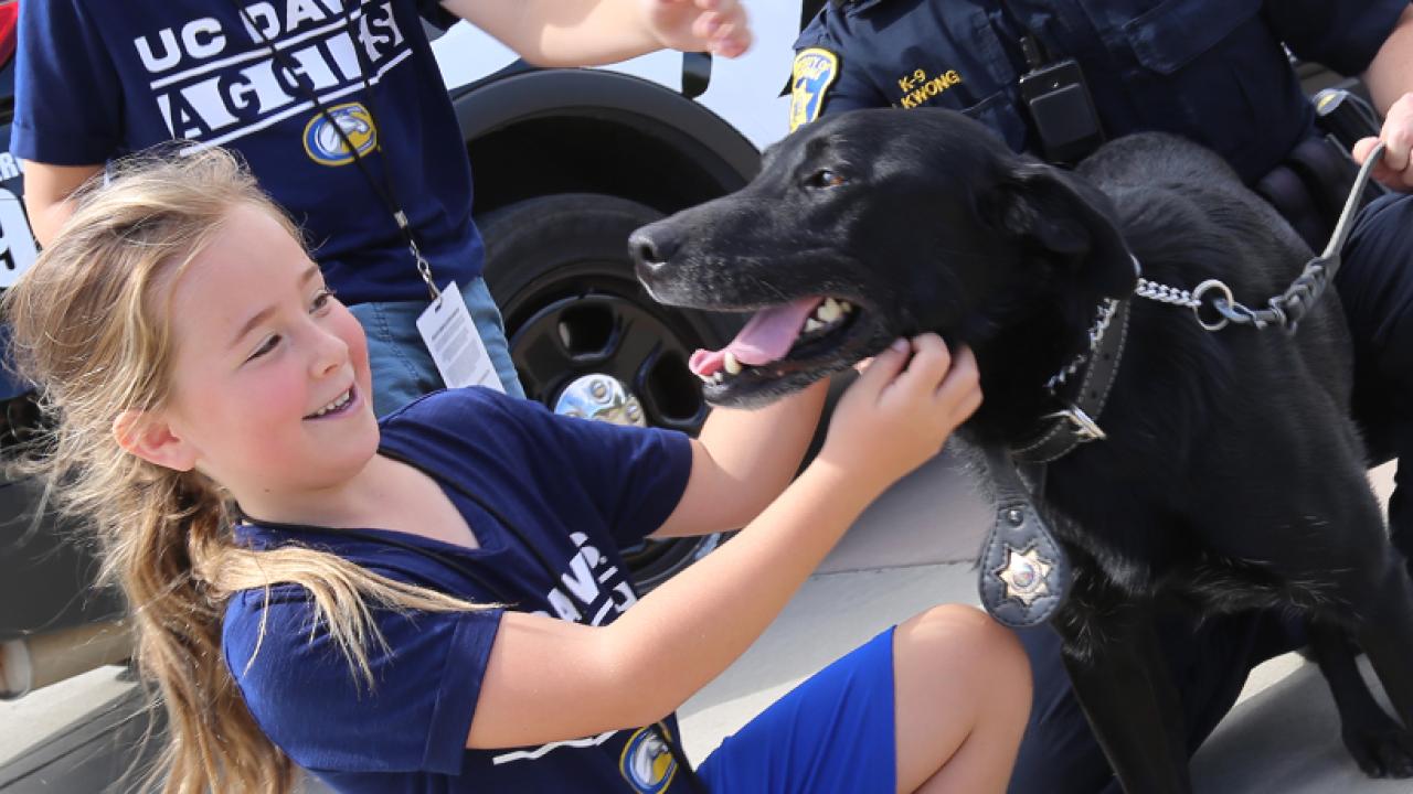 Police Department - K9 Unit